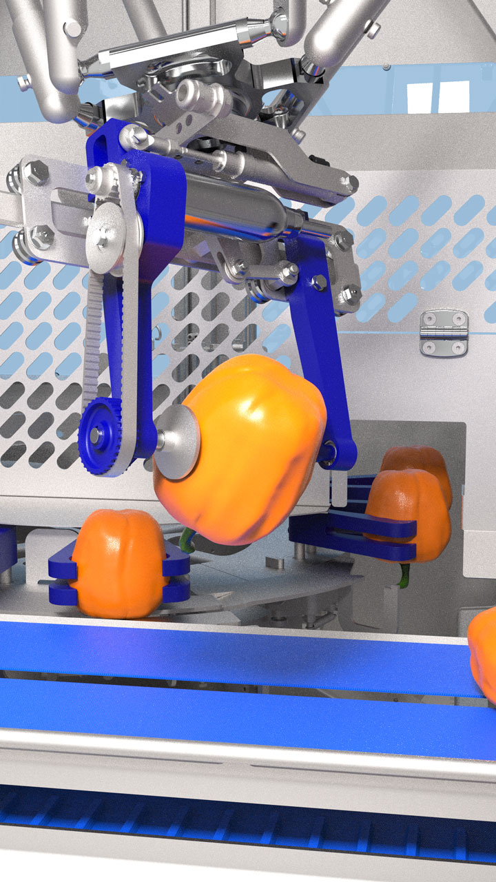 Innovations in Fresh-Cut Produce Packaging and Technology - Produce ...