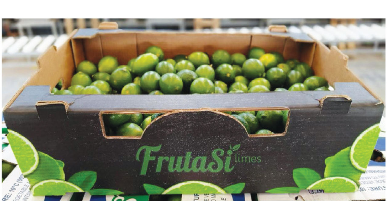 EV PRODUCE INTERNATIONAL introduces new lime packaging for enhanced ...