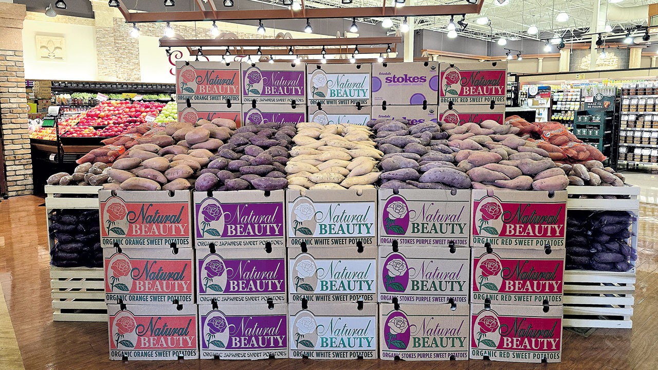 The 2025 Fall Produce Guide: Everything You Need to Maximize Seasonal ...