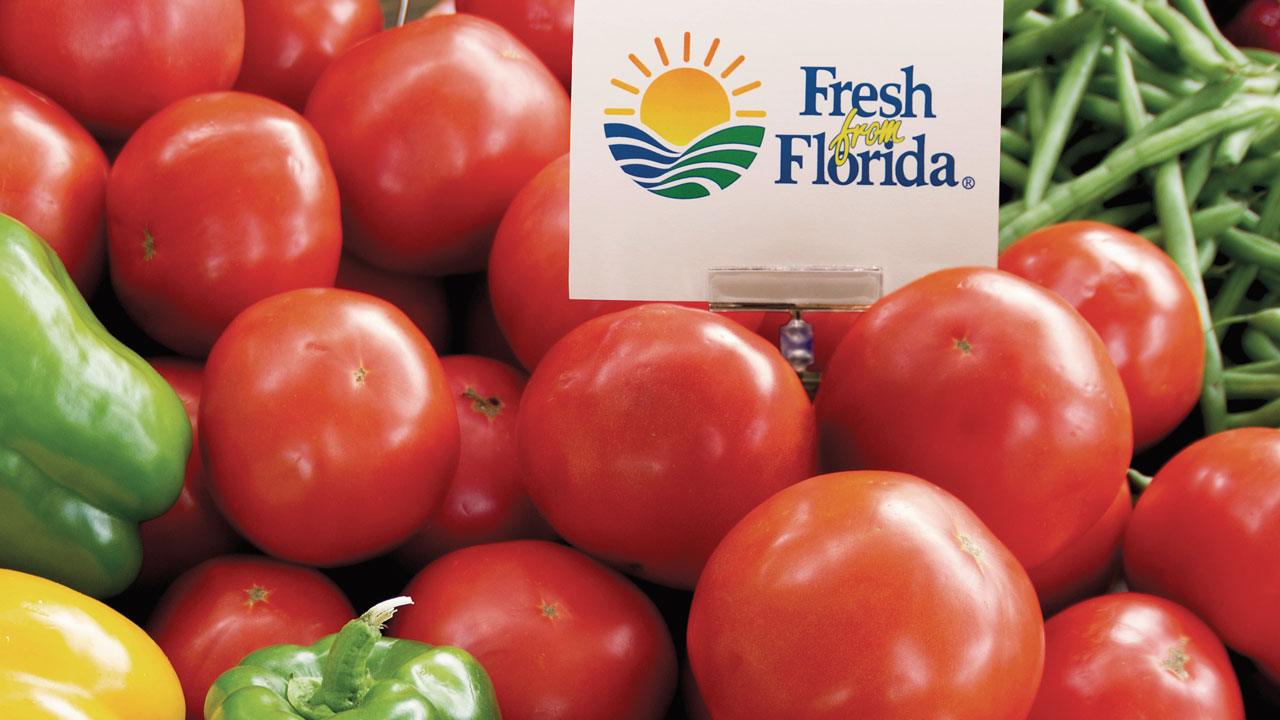 Florida Produce Gets a Boost - Produce Business