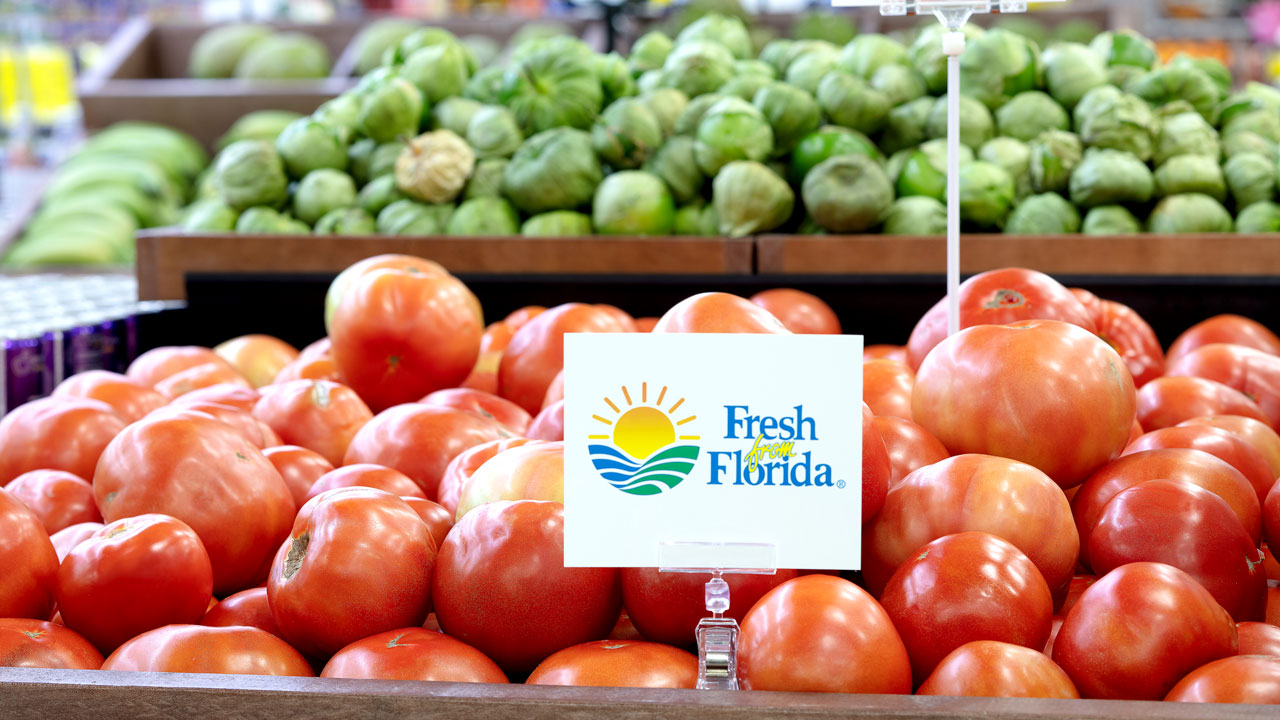 Strong Season Ahead for Florida Tomatoes - Produce Business